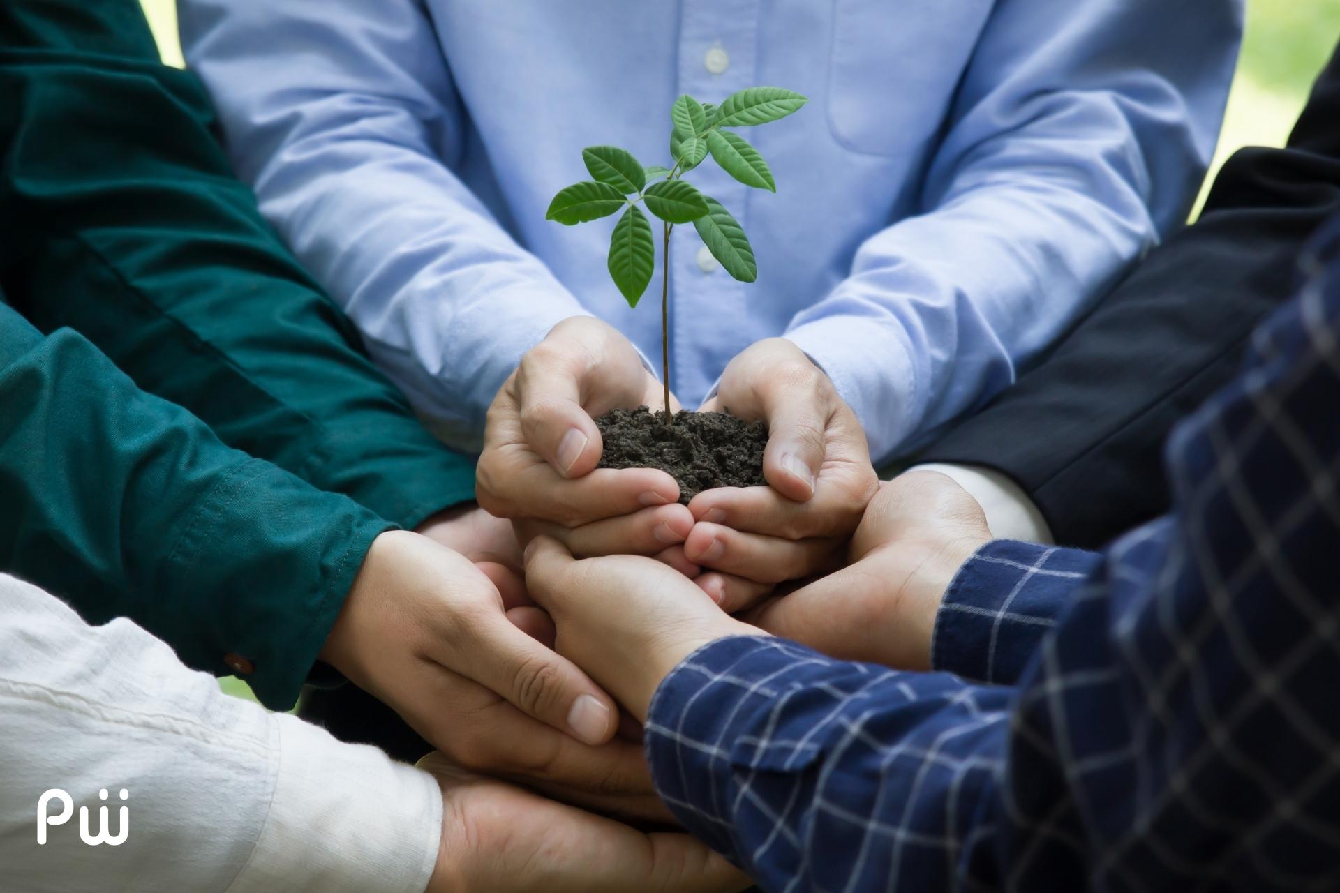 Environmental Sustainability and Progress: A Close Look at Malaysia's ...