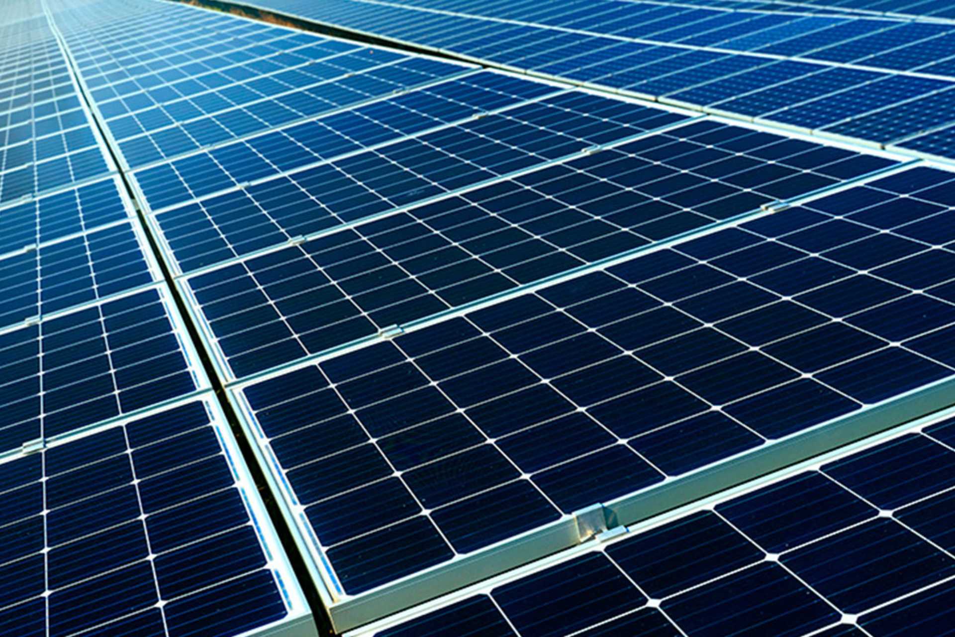 NEWSLETTER - Polyware Official Site